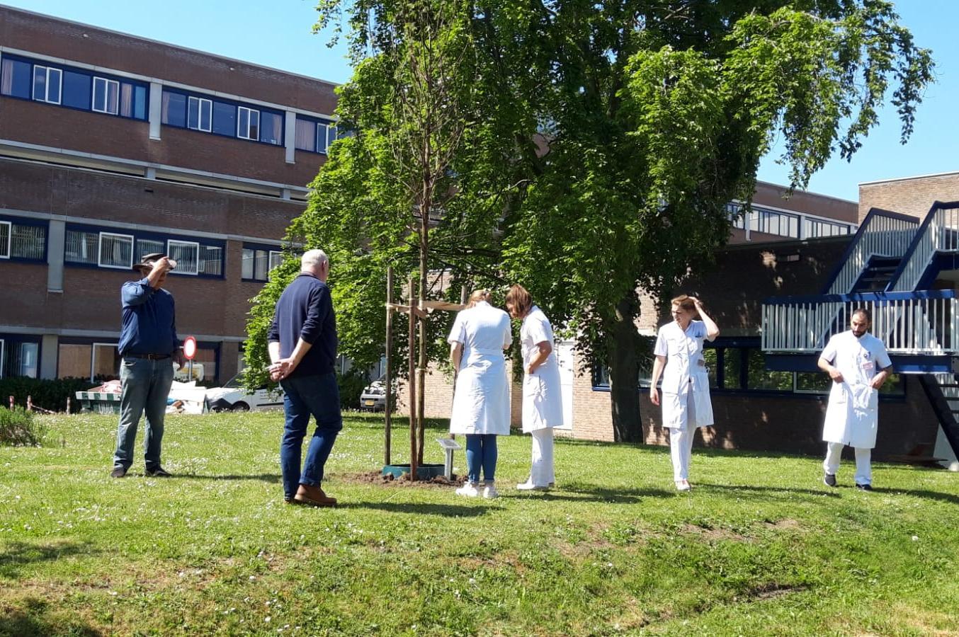 In Holland, to the doctors involved in the fight against Covid [photo ...