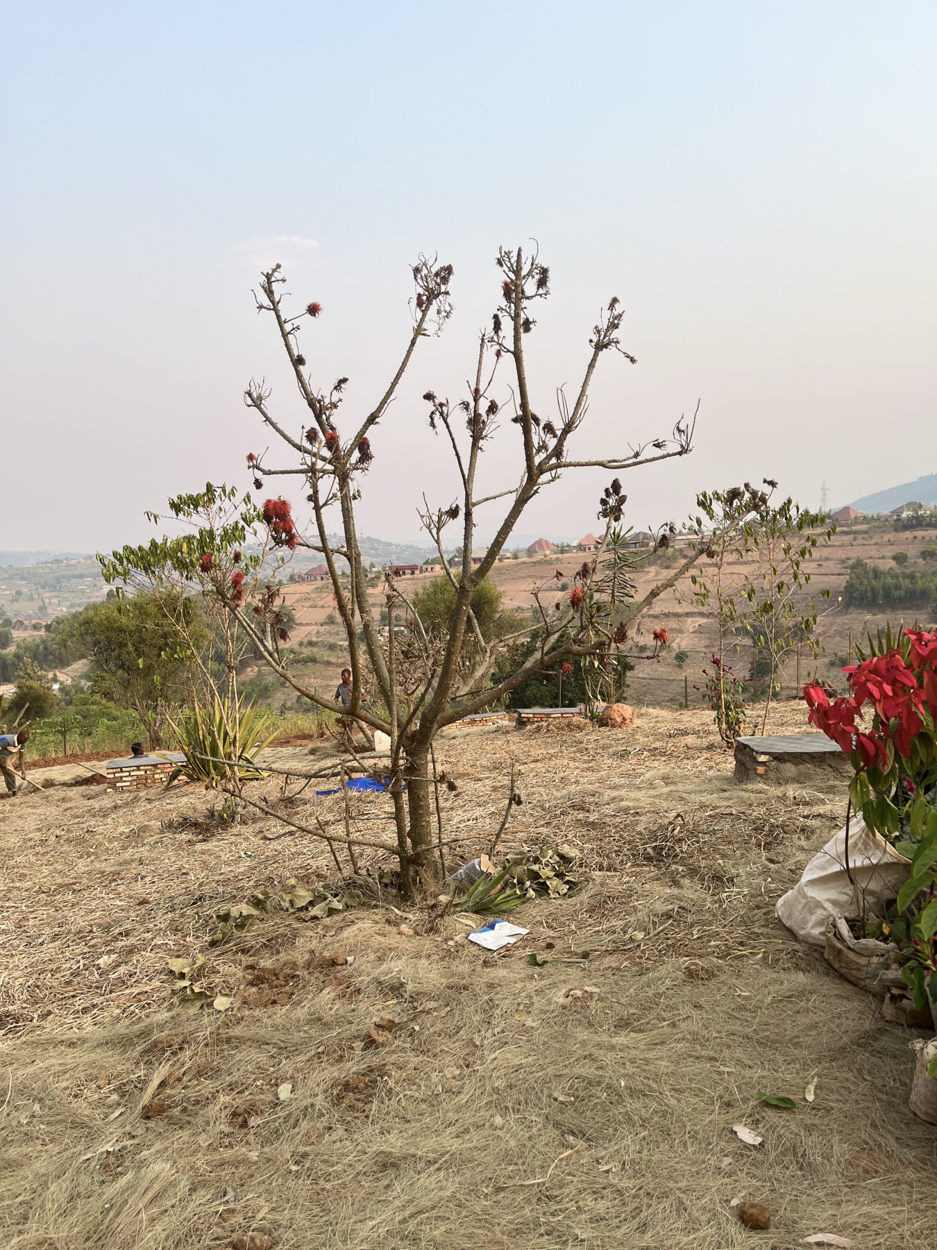 Inauguration ceremony of the Garden of the Righteous of Kamonyi, the ...